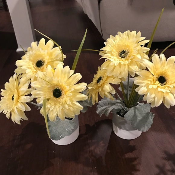 Other | Decorative Flowers | Poshmark